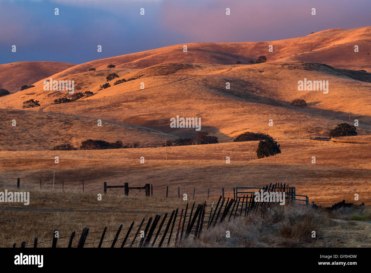 Fog line hi-res stock photography and images - Alamy
