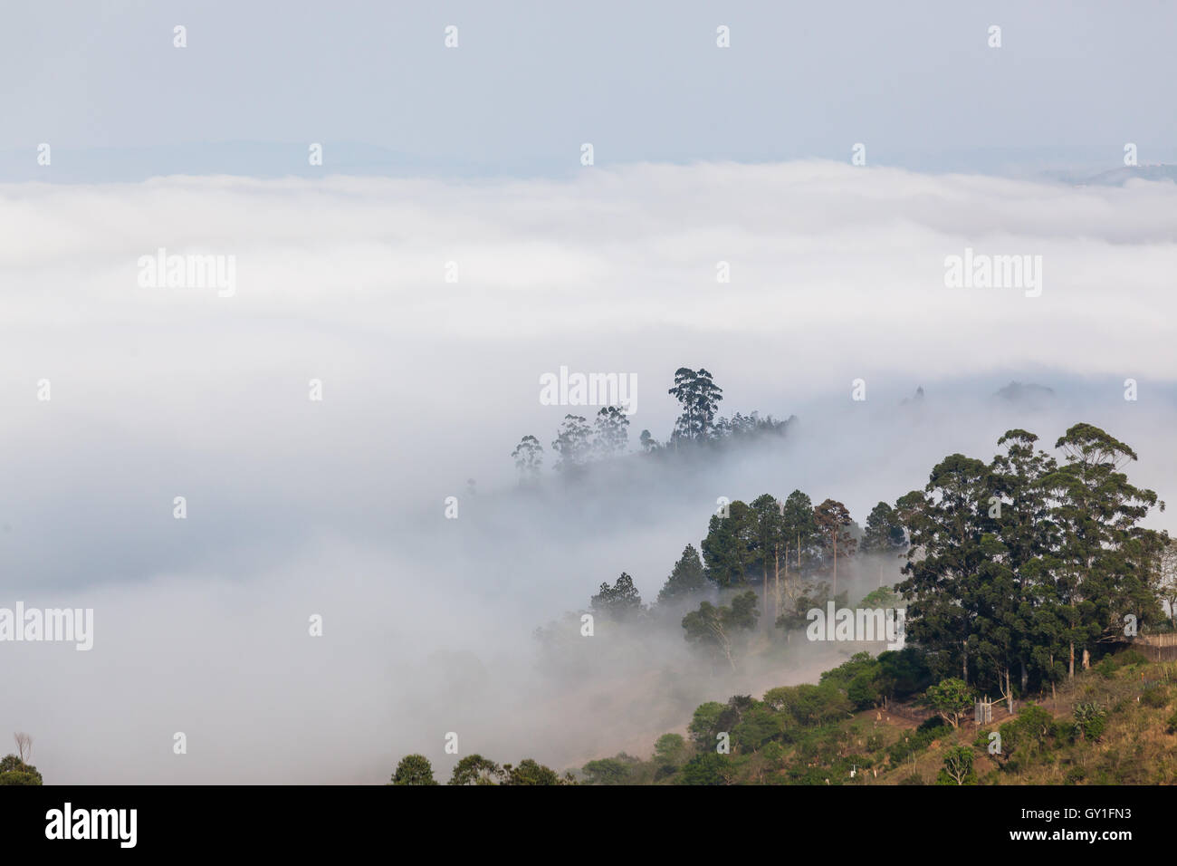 Rural countryside farmland covered in morning cloud mist a season ...
