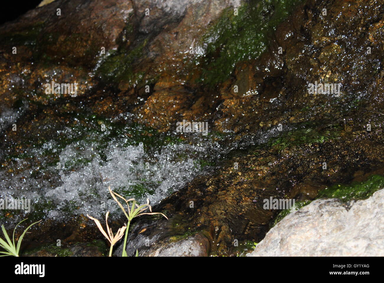 This is a small stream captured at night. The water almost looks like ...