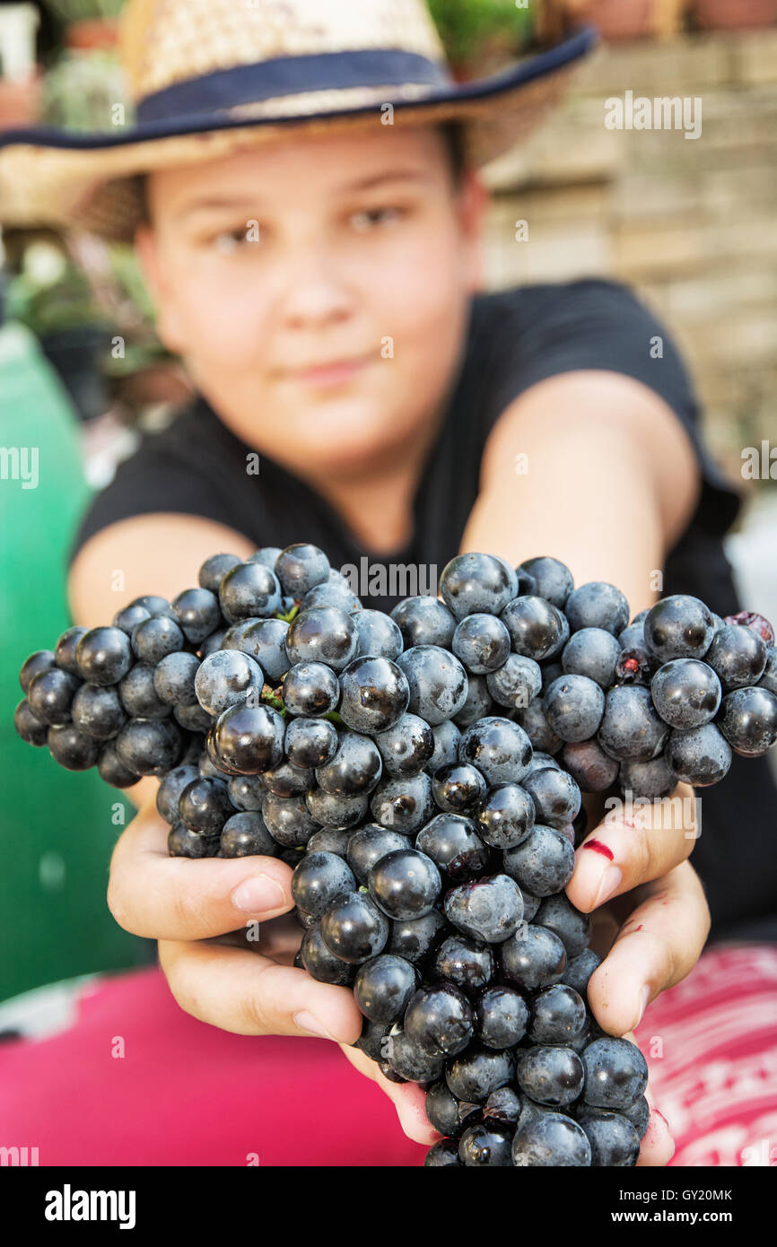 Young funny boy posing with bunch of grapes in hands. Vintage theme ...