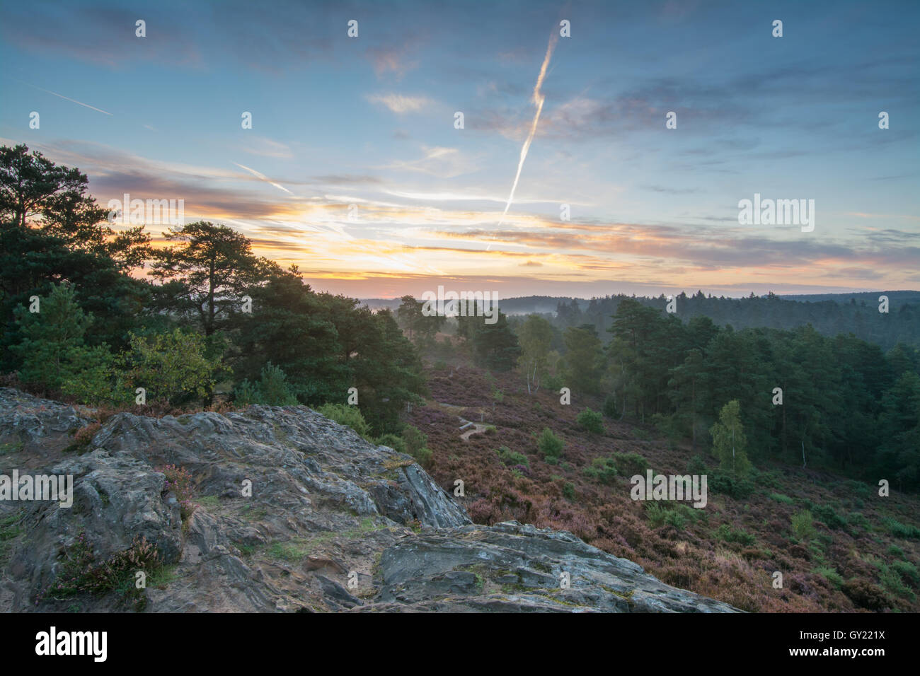 Early morning view from Stony Jump (The Devil's Jumps) across heathland ...