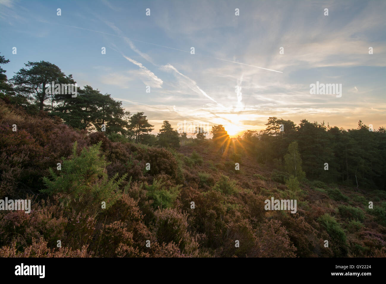 Frensham surrey autumn hi-res stock photography and images - Alamy