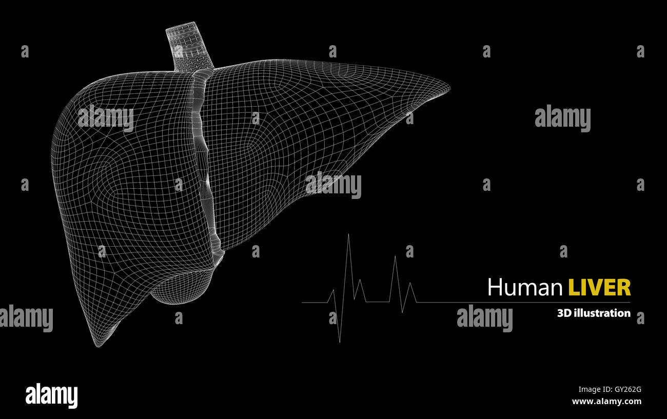Real human liver hi-res stock photography and images - Alamy