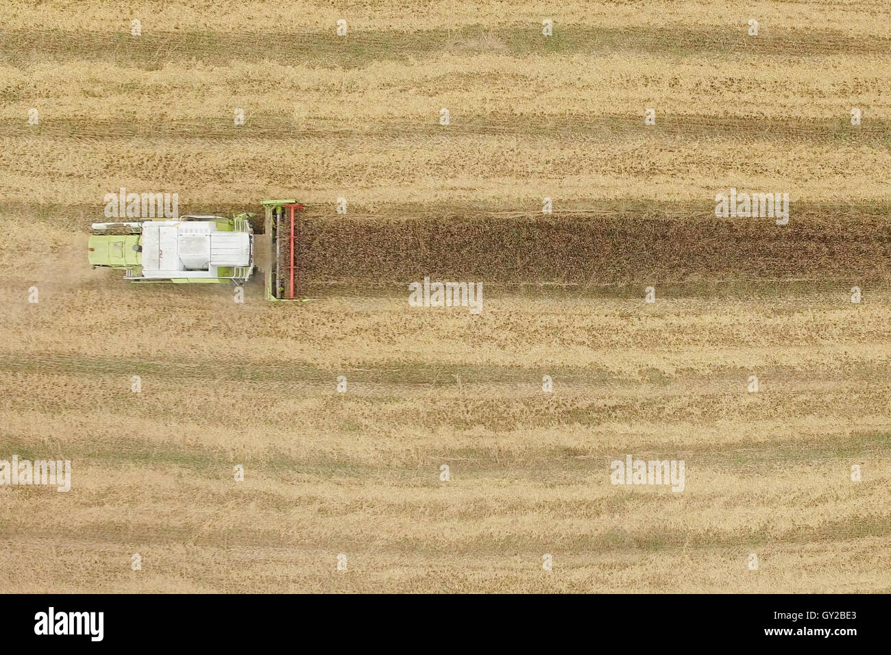 Aerial view of combine harvesting a fall corn field Stock Photo - Alamy
