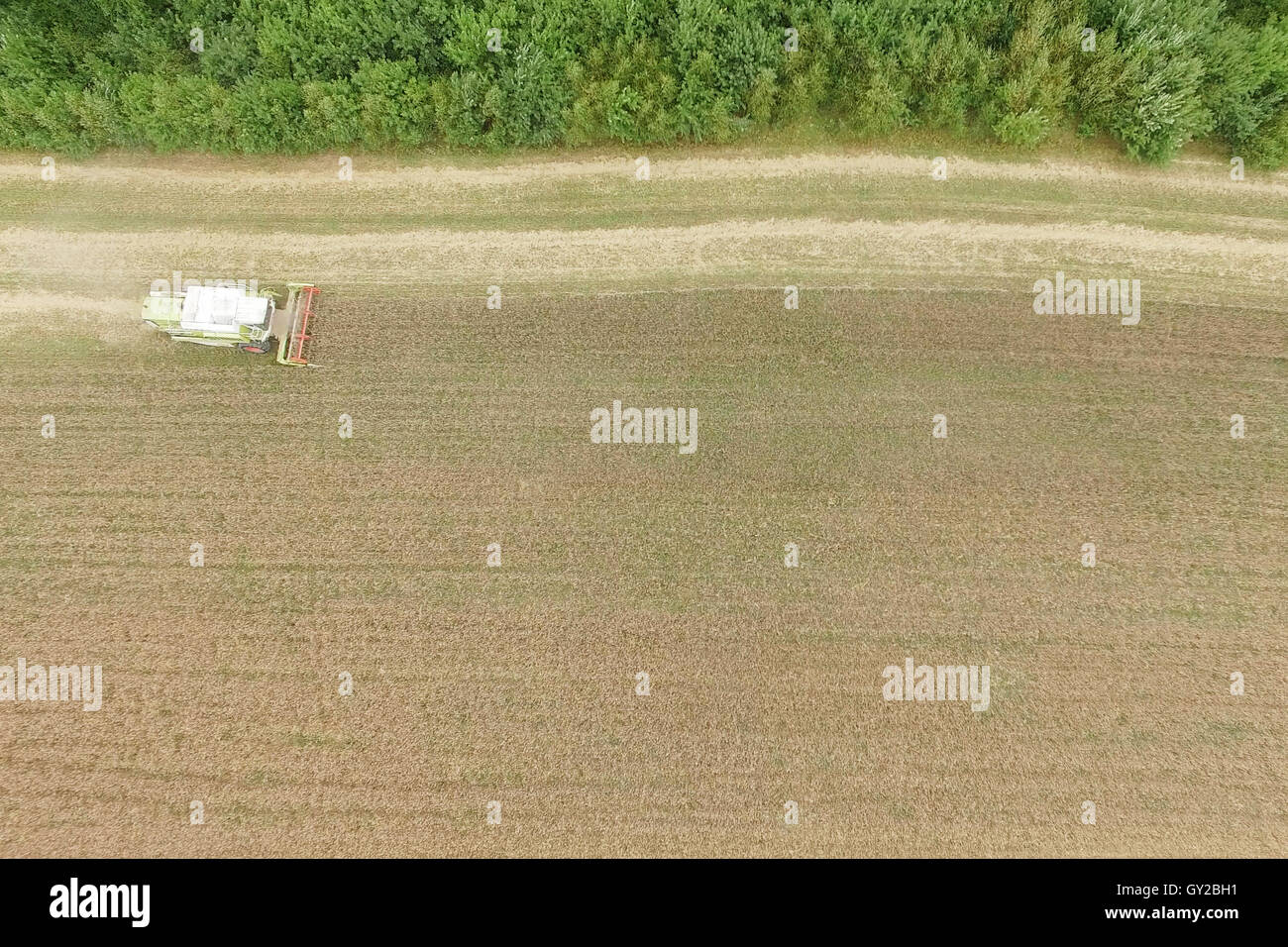 Aerial view of combine harvesting a fall corn field Stock Photo - Alamy
