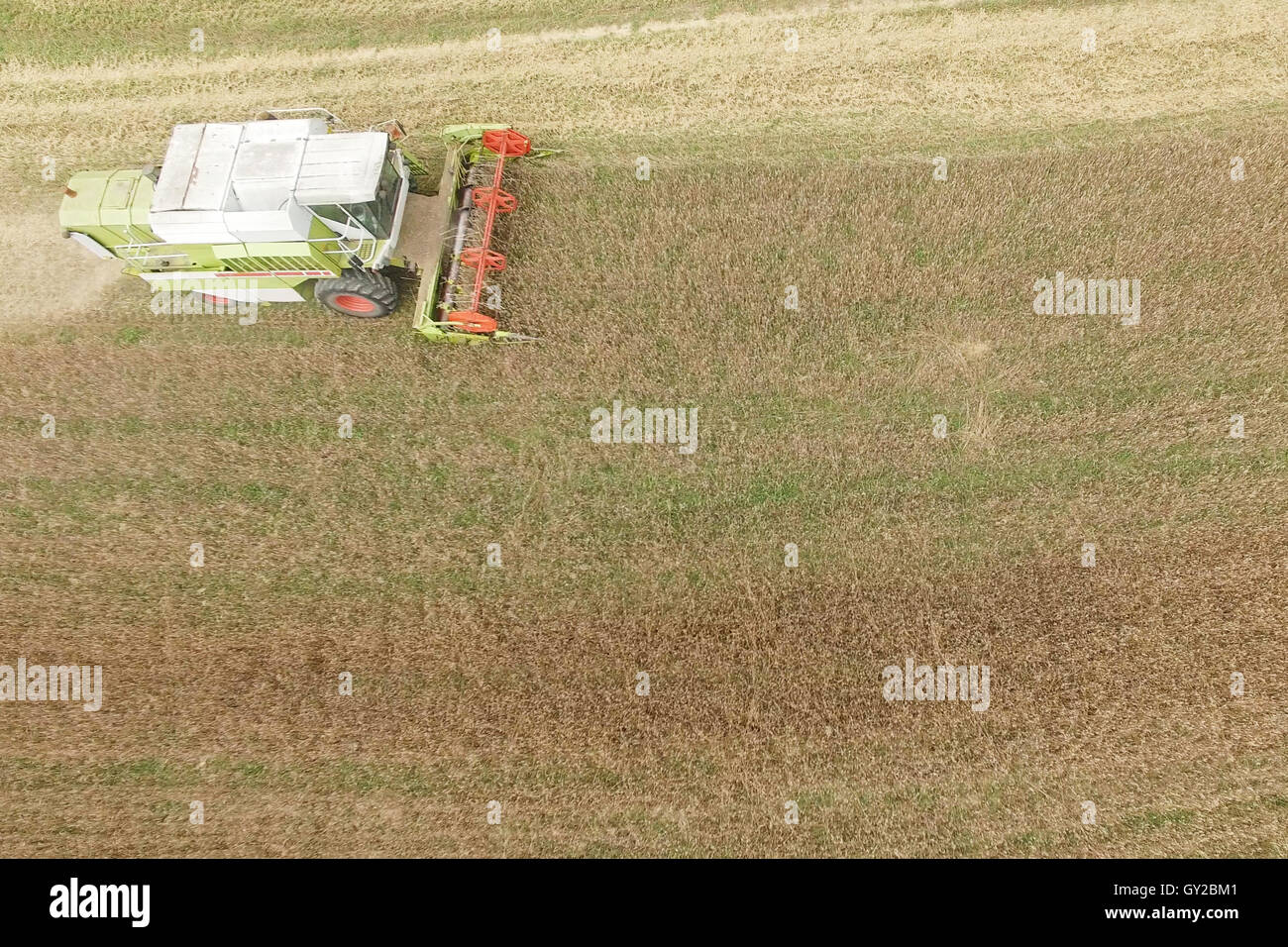 Aerial view of combine harvesting a fall corn field Stock Photo - Alamy