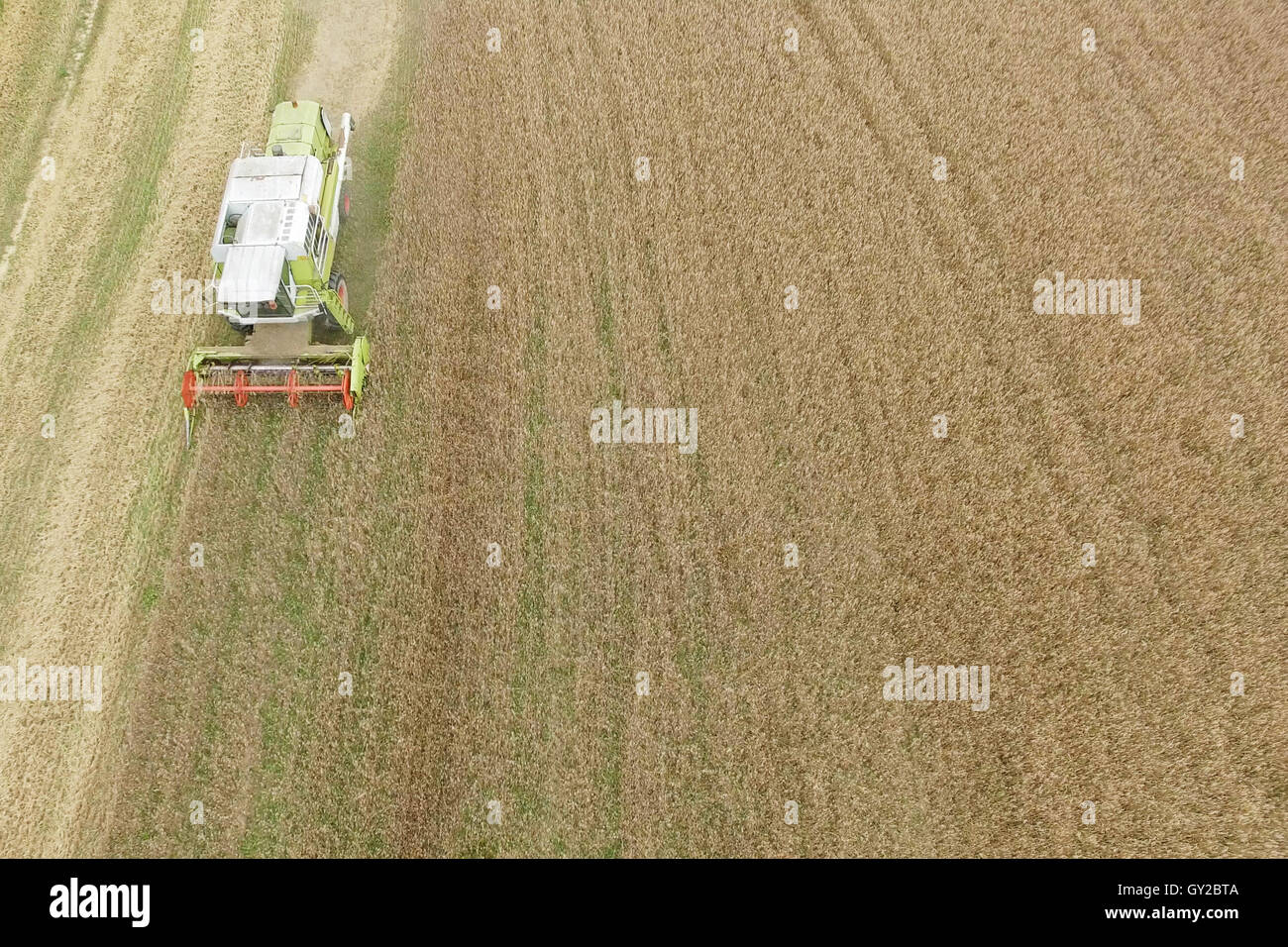 Aerial view of combine harvesting a fall corn field Stock Photo - Alamy