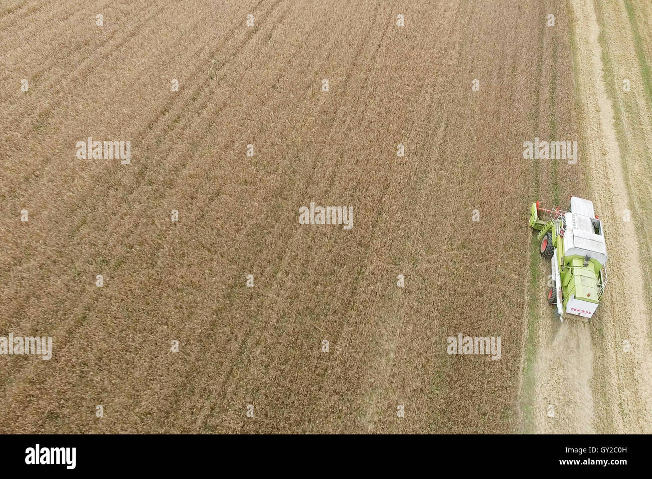 Aerial view of combine harvesting a fall corn field Stock Photo - Alamy