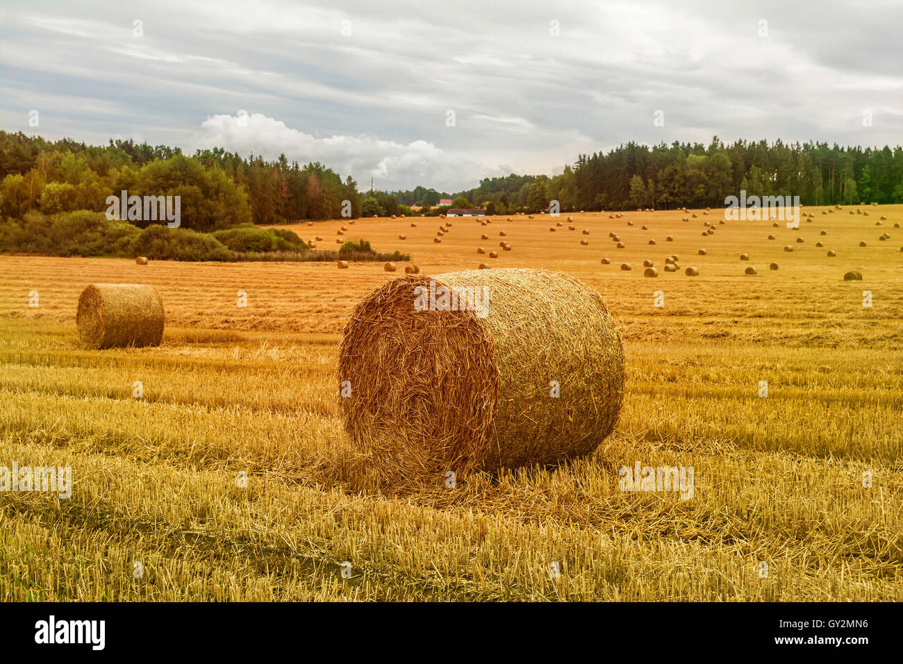 Autumn landscape. Harvest field with straw bales Stock Photo - Alamy
