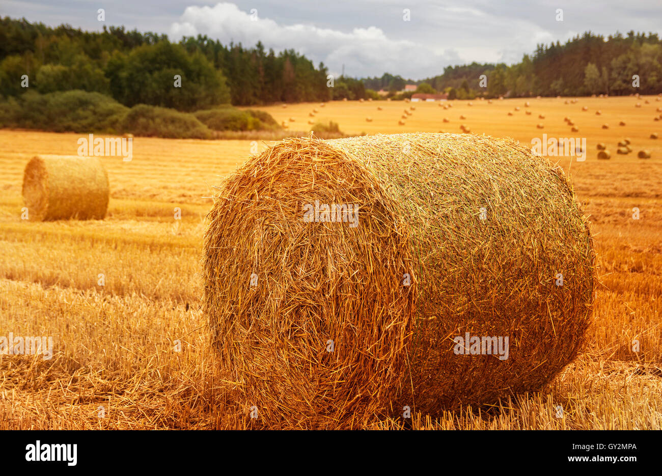 Autumn landscape. Harvest field with straw bales Stock Photo - Alamy