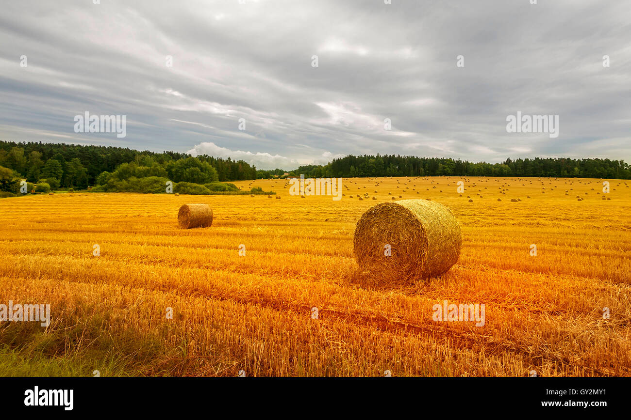 Autumn landscape. Harvest field with straw bales Stock Photo - Alamy
