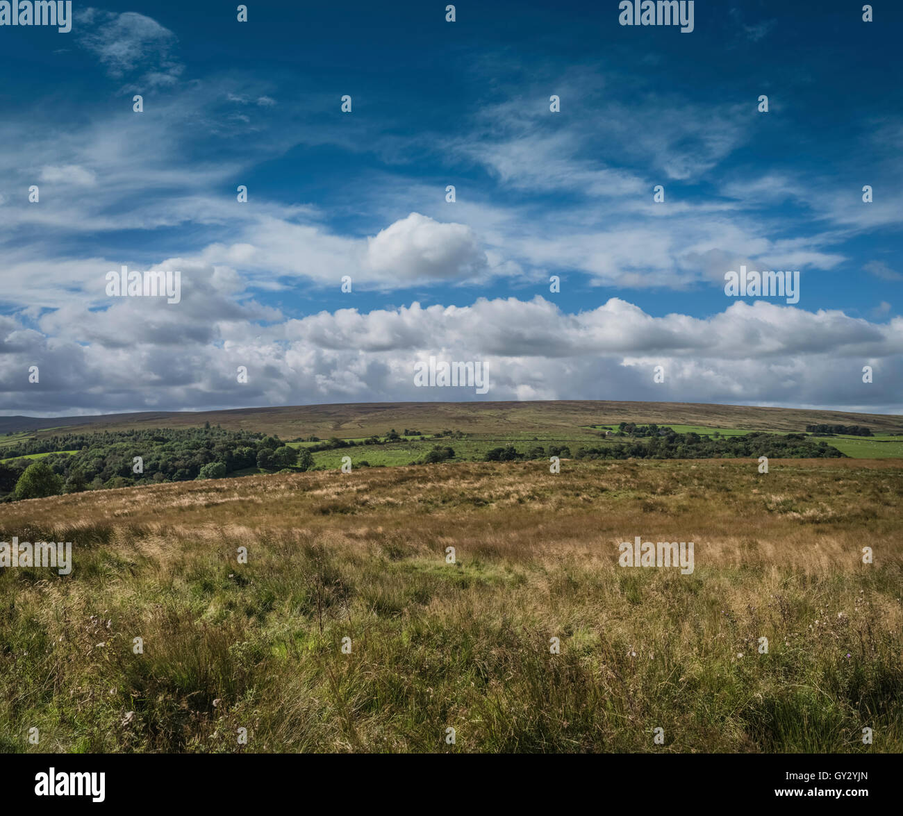 Tatham hi-res stock photography and images - Alamy