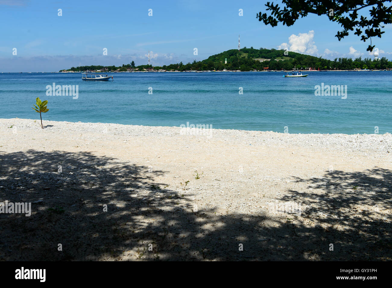 Gilli hi-res stock photography and images - Alamy