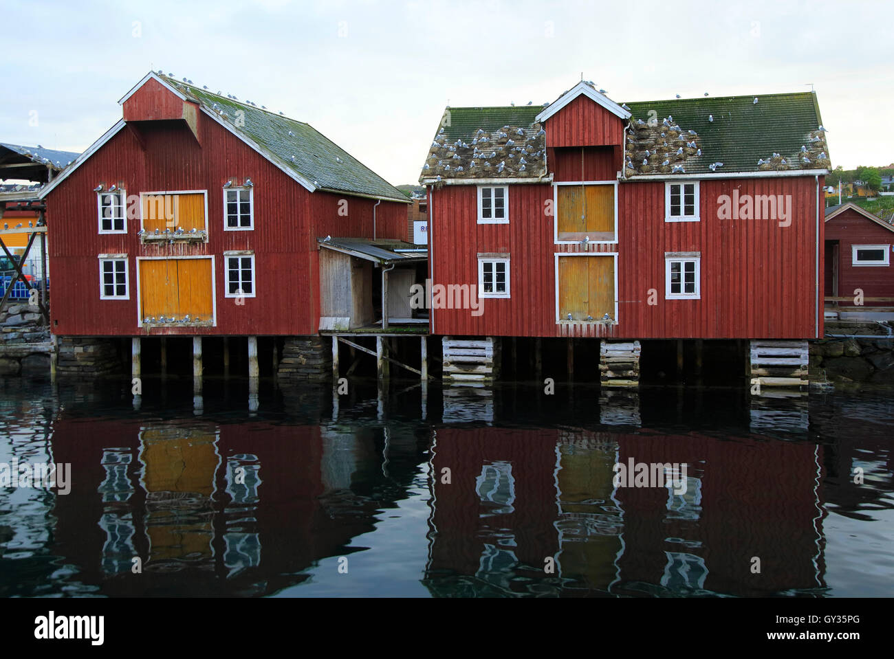 Rorvik Norway High Resolution Stock Photography and Images - Alamy