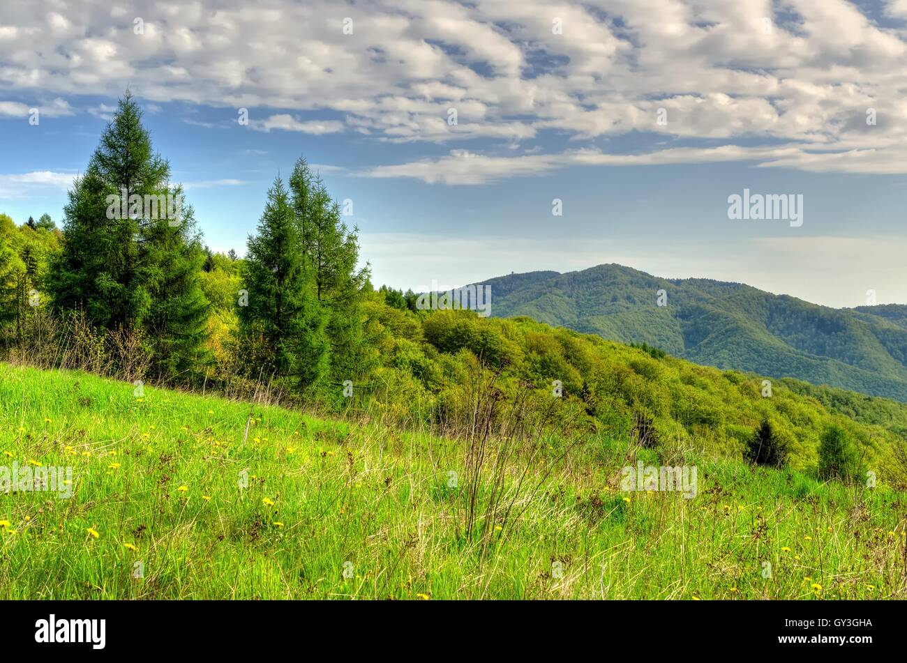 Green landscape beauty hi-res stock photography and images - Alamy