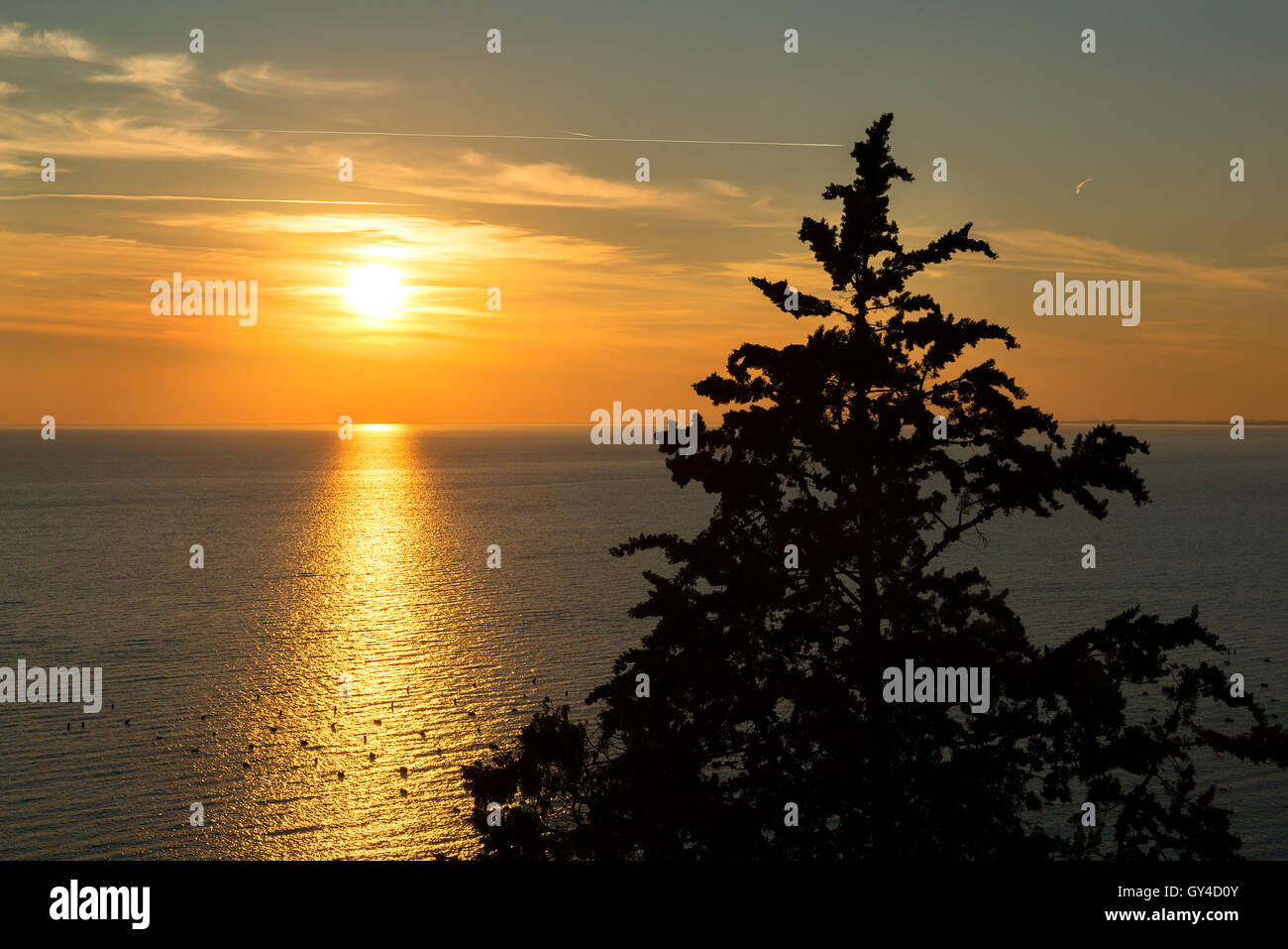 Fantastic sea sunset hi-res stock photography and images - Alamy