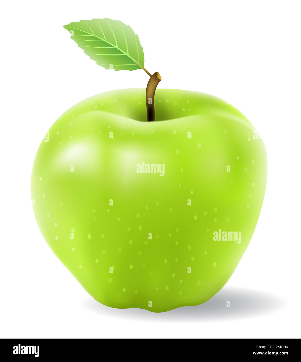 green apple vector isolated on a white background Stock Photo - Alamy