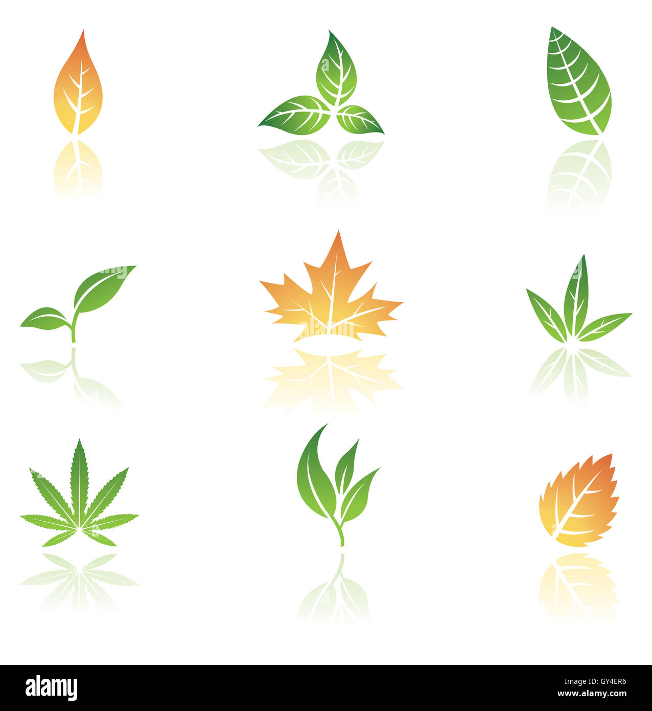 Leaves icons isolated on a white background Stock Photo - Alamy