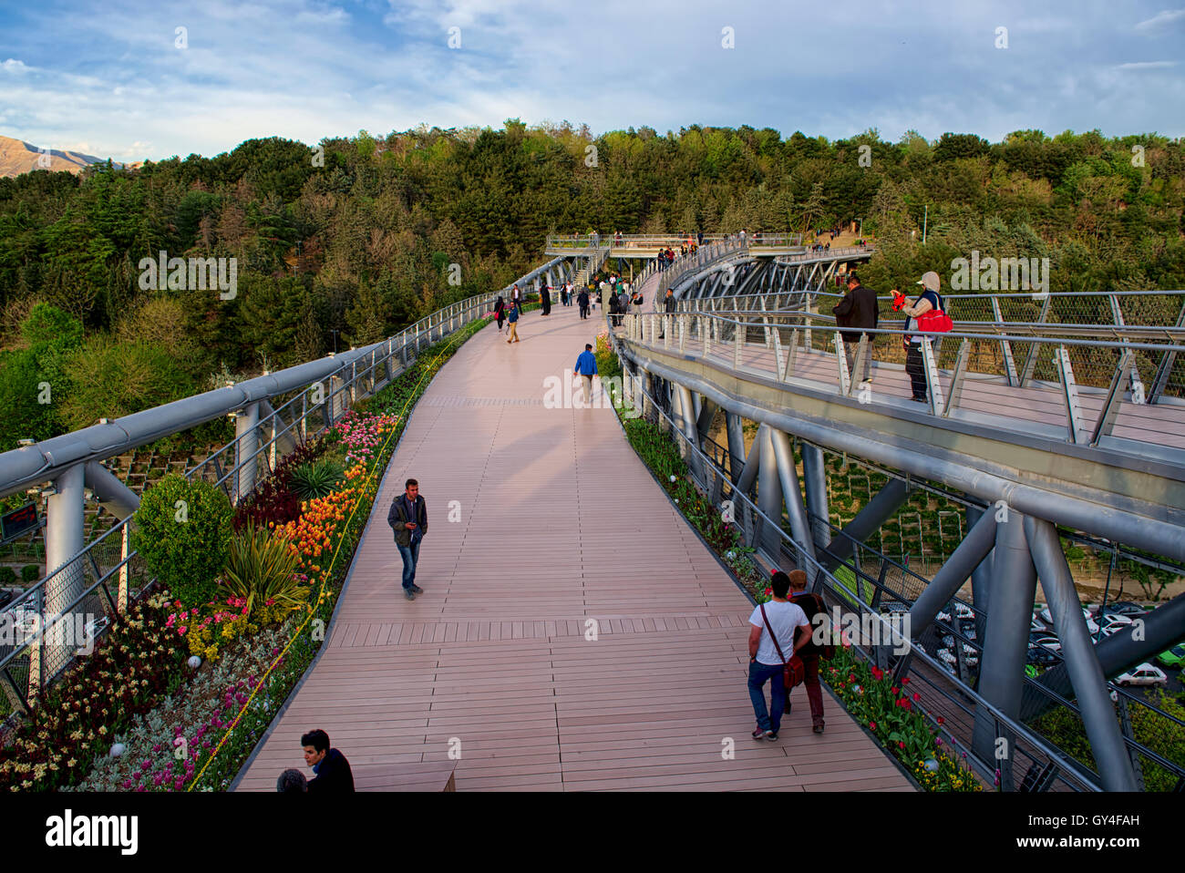 On the top of Tabiat bridge Stock Photo - Alamy