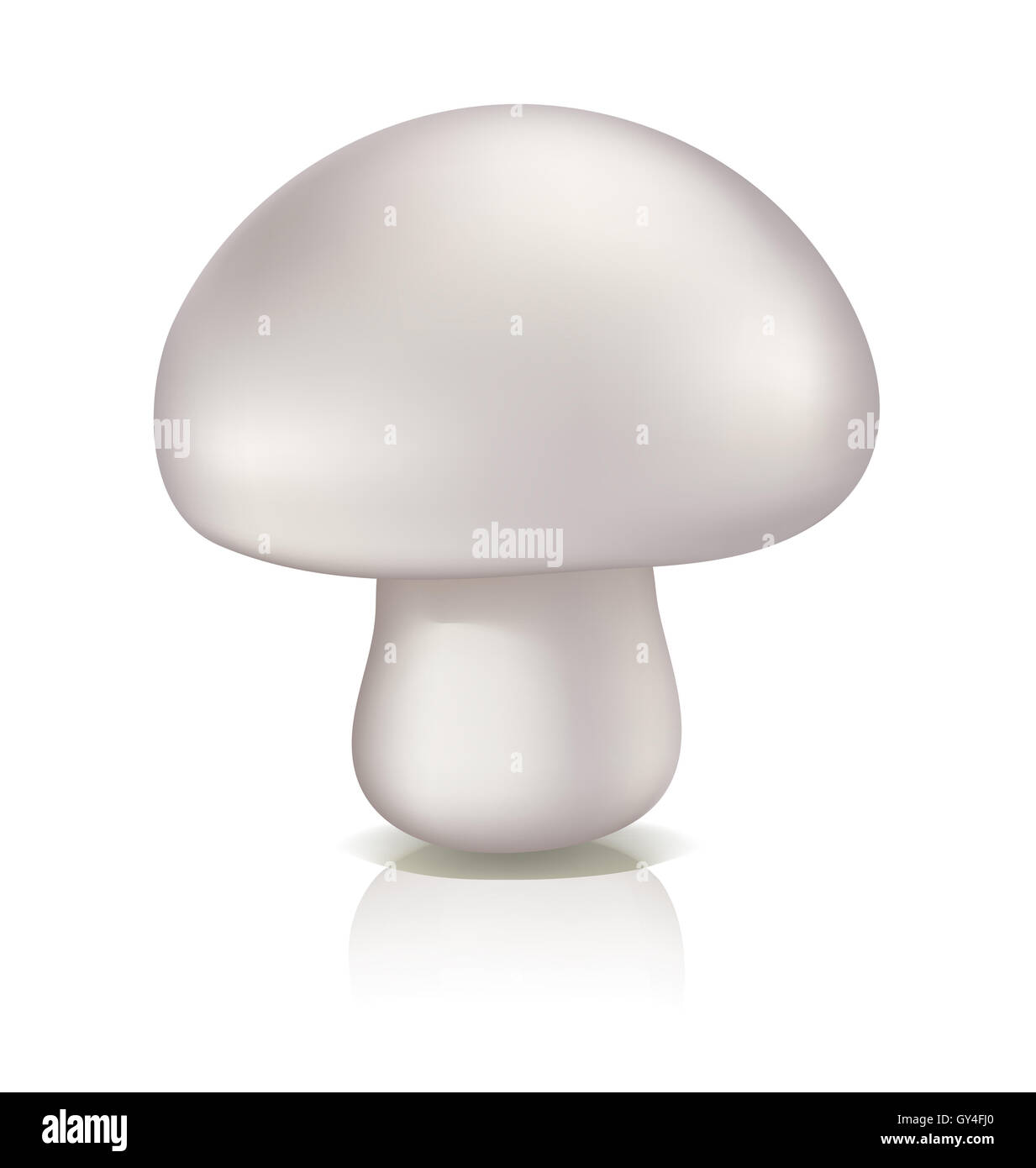Mushroom vector isolated on a white background Stock Photo - Alamy