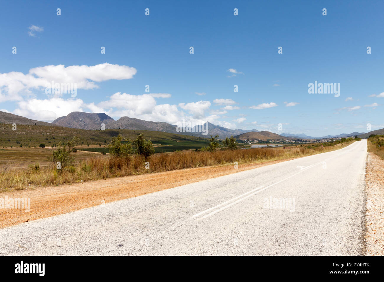 Straight lines in nature hi-res stock photography and images - Alamy