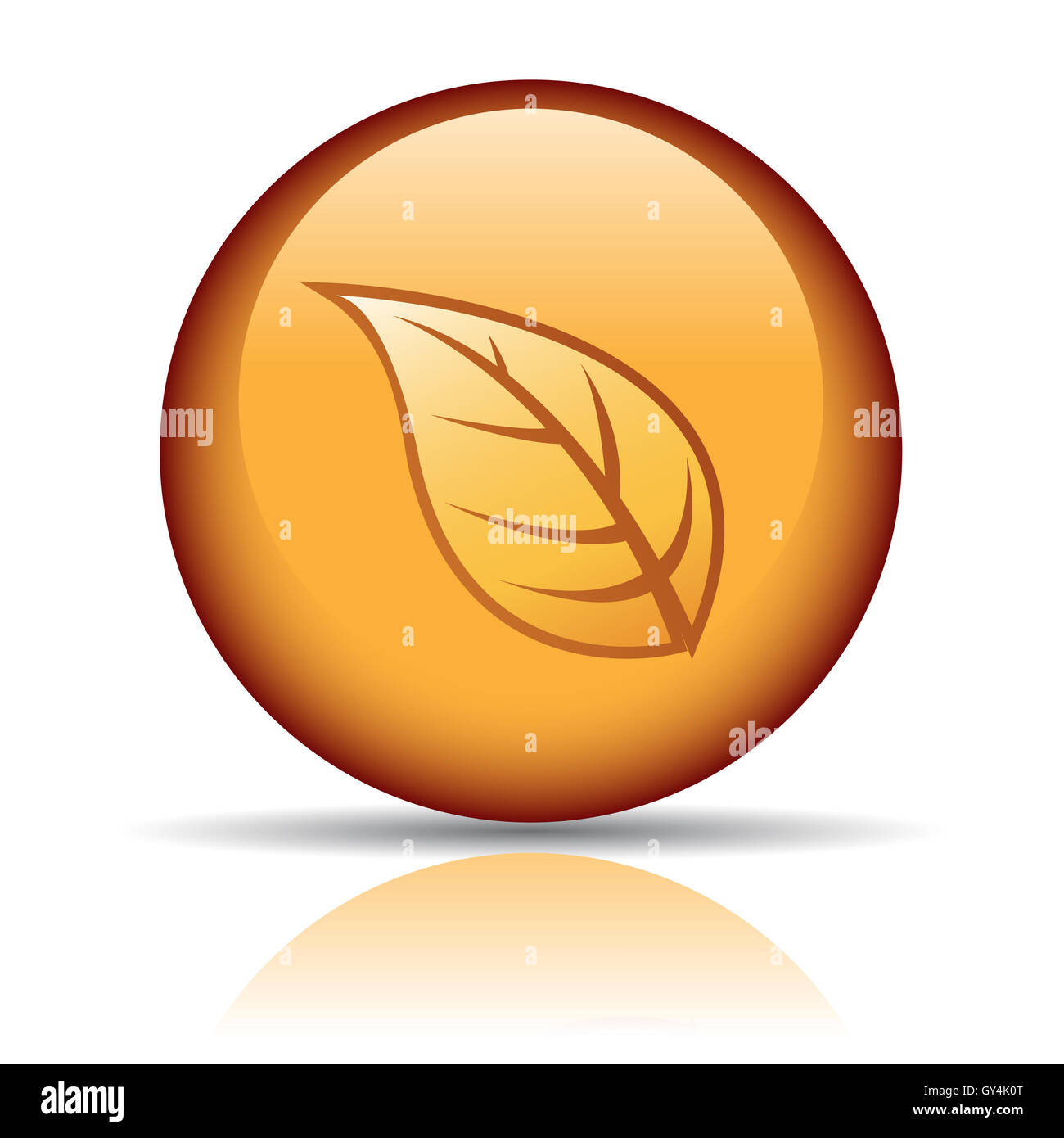 Golden fall isolated on white Stock Photo - Alamy