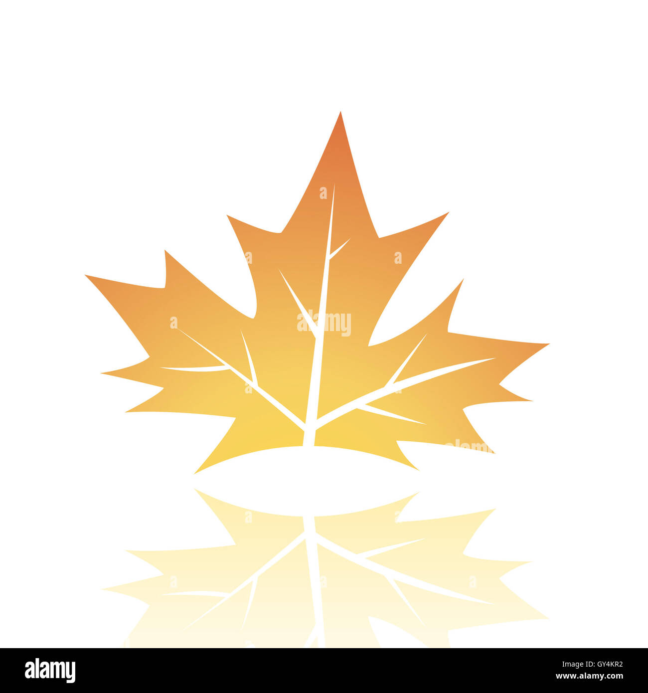 Brown leaf isolated on white Stock Photo - Alamy
