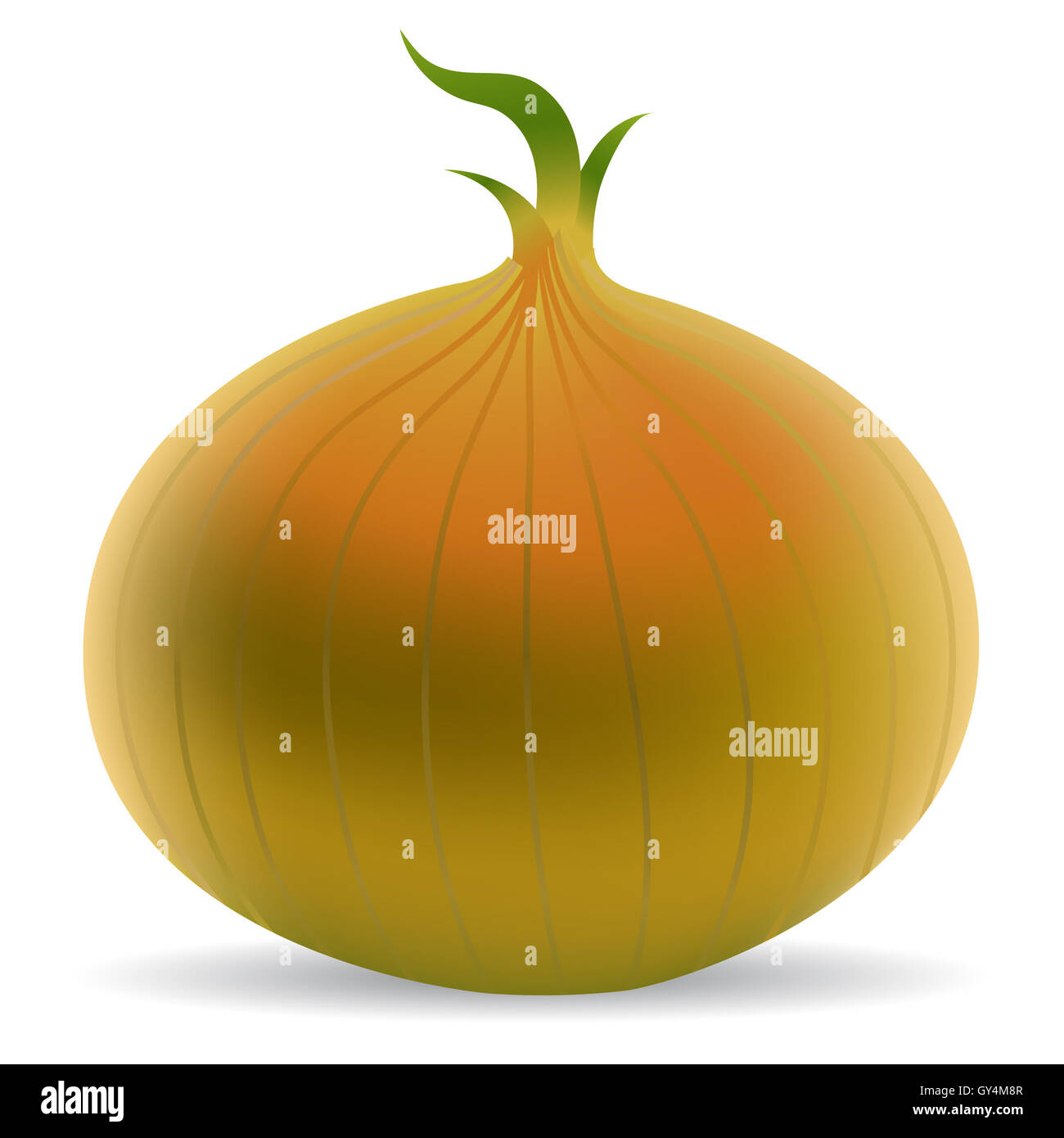 Onion isolated on white Stock Photo - Alamy