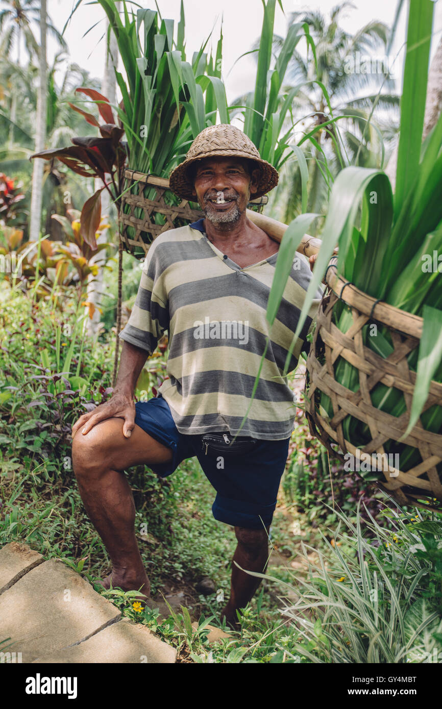 Full length shot of happy old man carrying seedlings on his shoulders ...