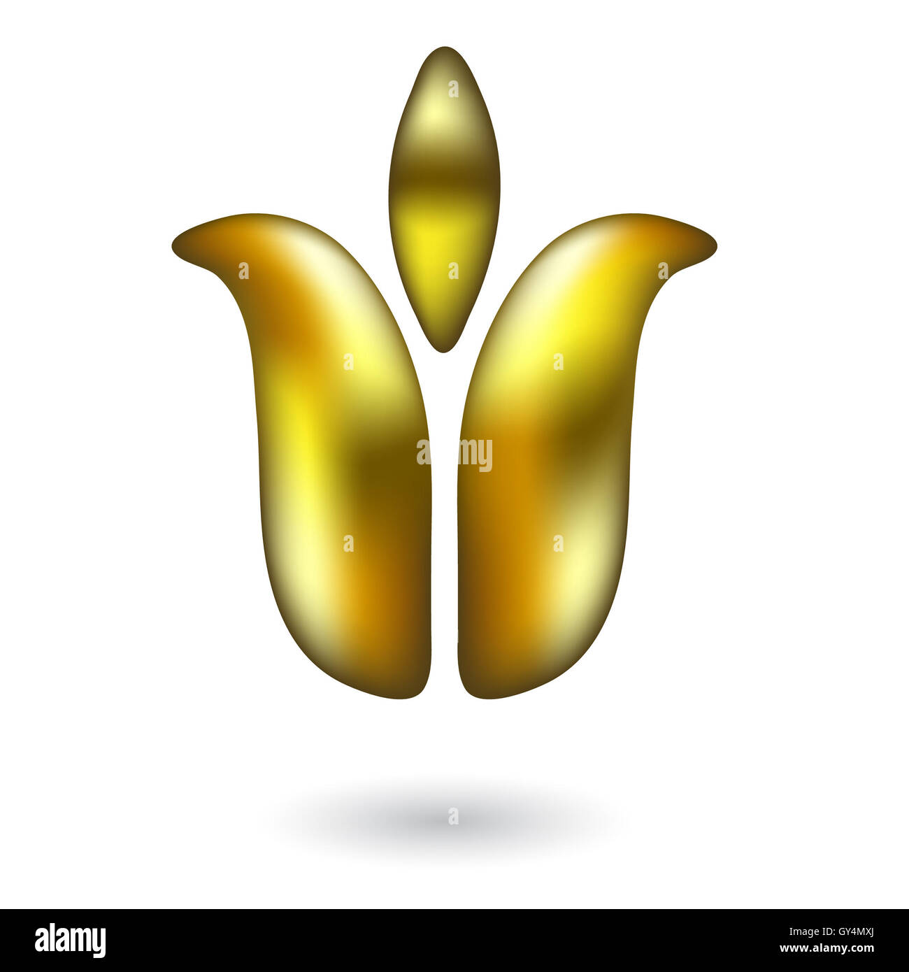 Glossy gold tulip isolated on white Stock Photo - Alamy
