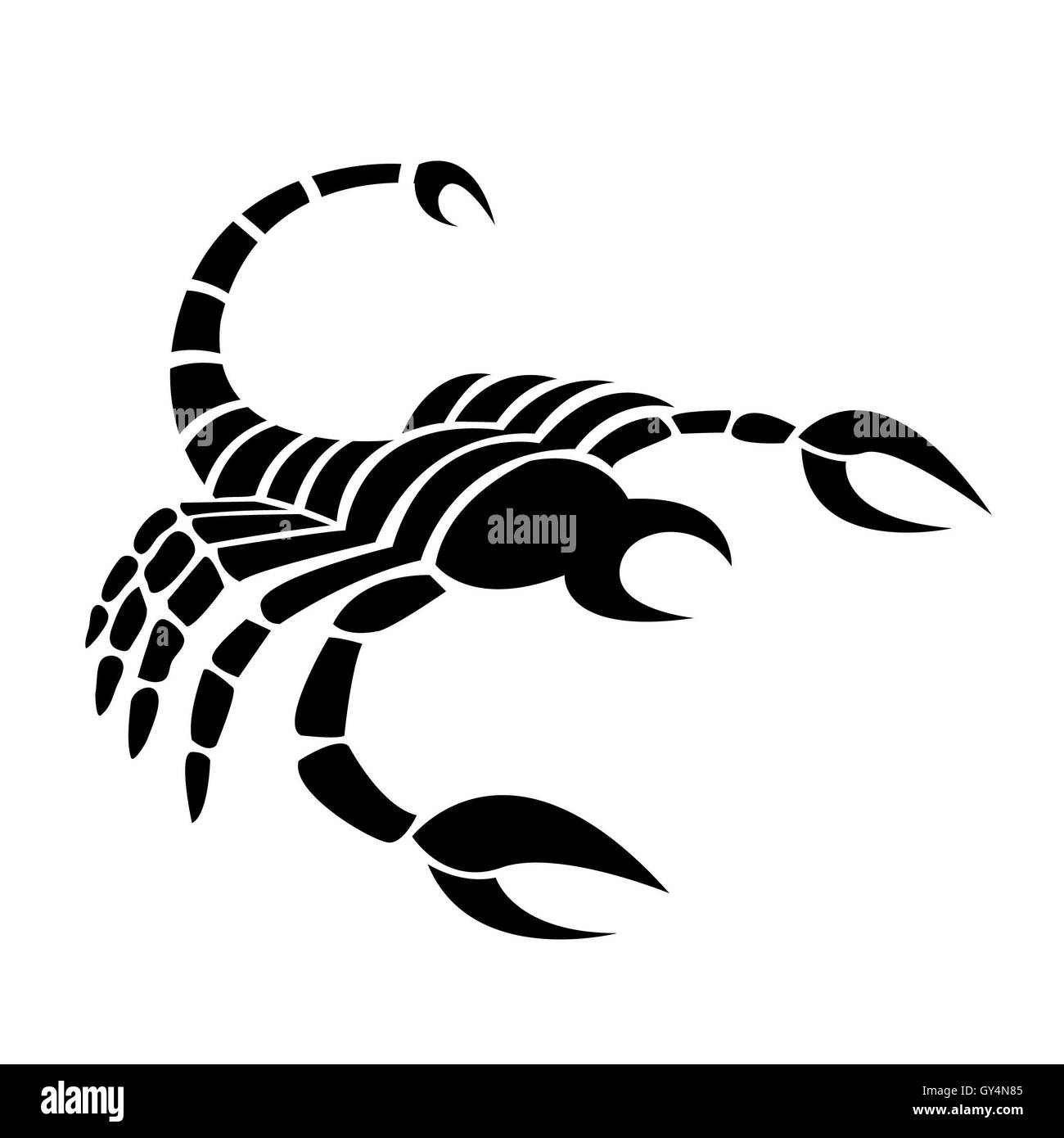 Black scorpio isolated on white Stock Photo - Alamy