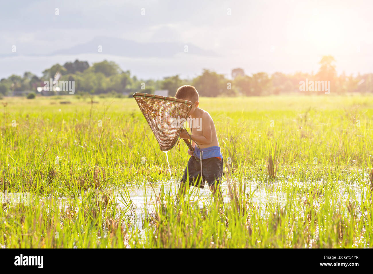 Fish coop hi-res stock photography and images - Alamy