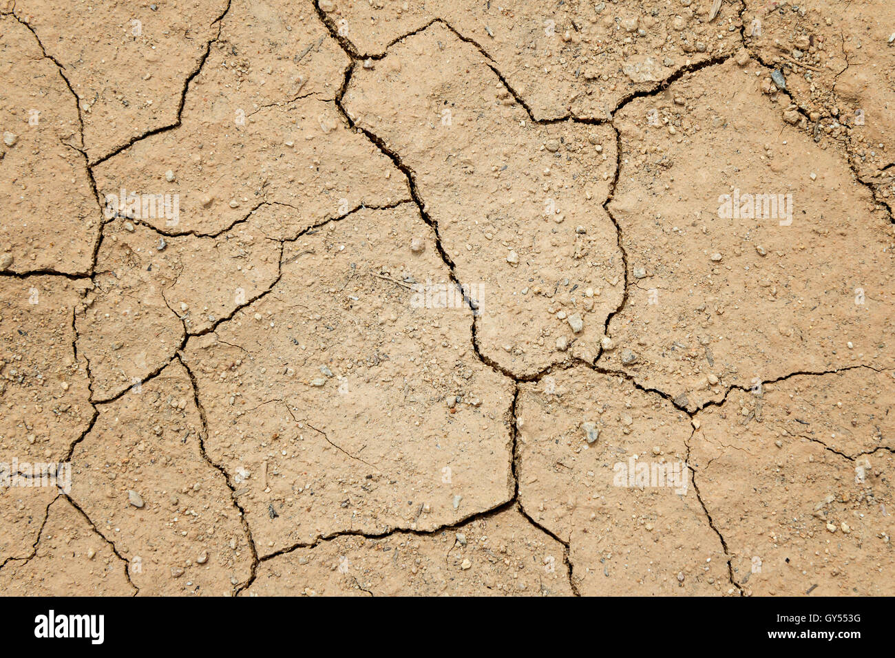Dry cracked ground filling the frame as background Stock Photo - Alamy