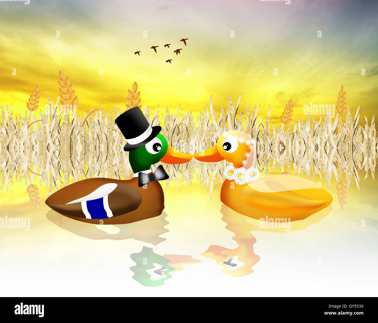 Couple married underwater hi-res stock photography and images - Alamy