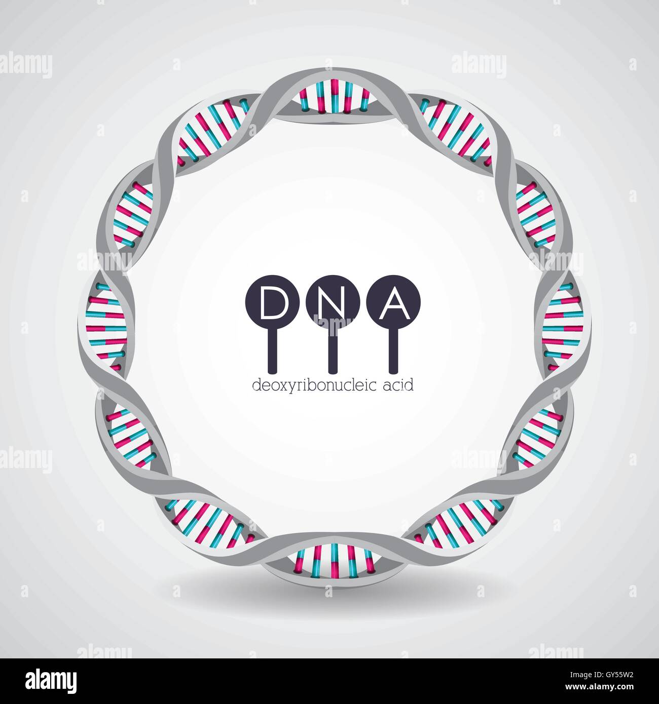 Dna circle structure chromosome design Stock Vector Image & Art - Alamy