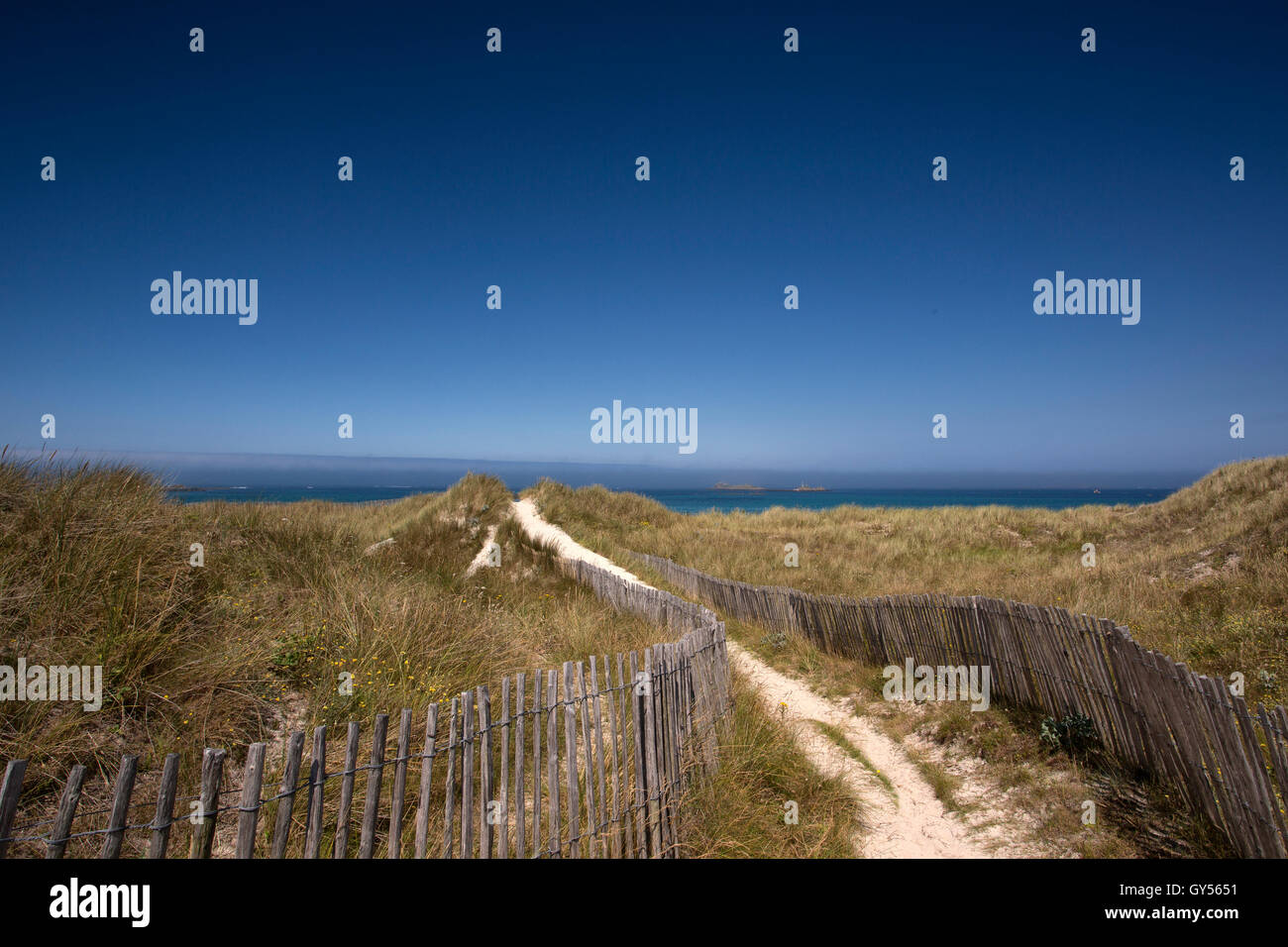 Soft path hi-res stock photography and images - Alamy