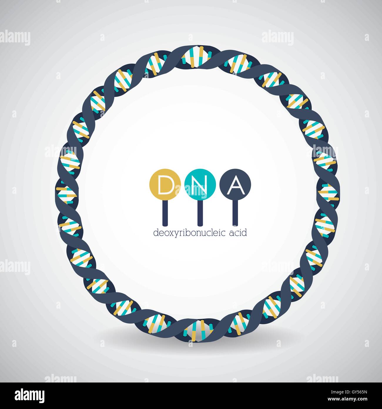 Dna circle structure chromosome design Stock Vector Image & Art - Alamy