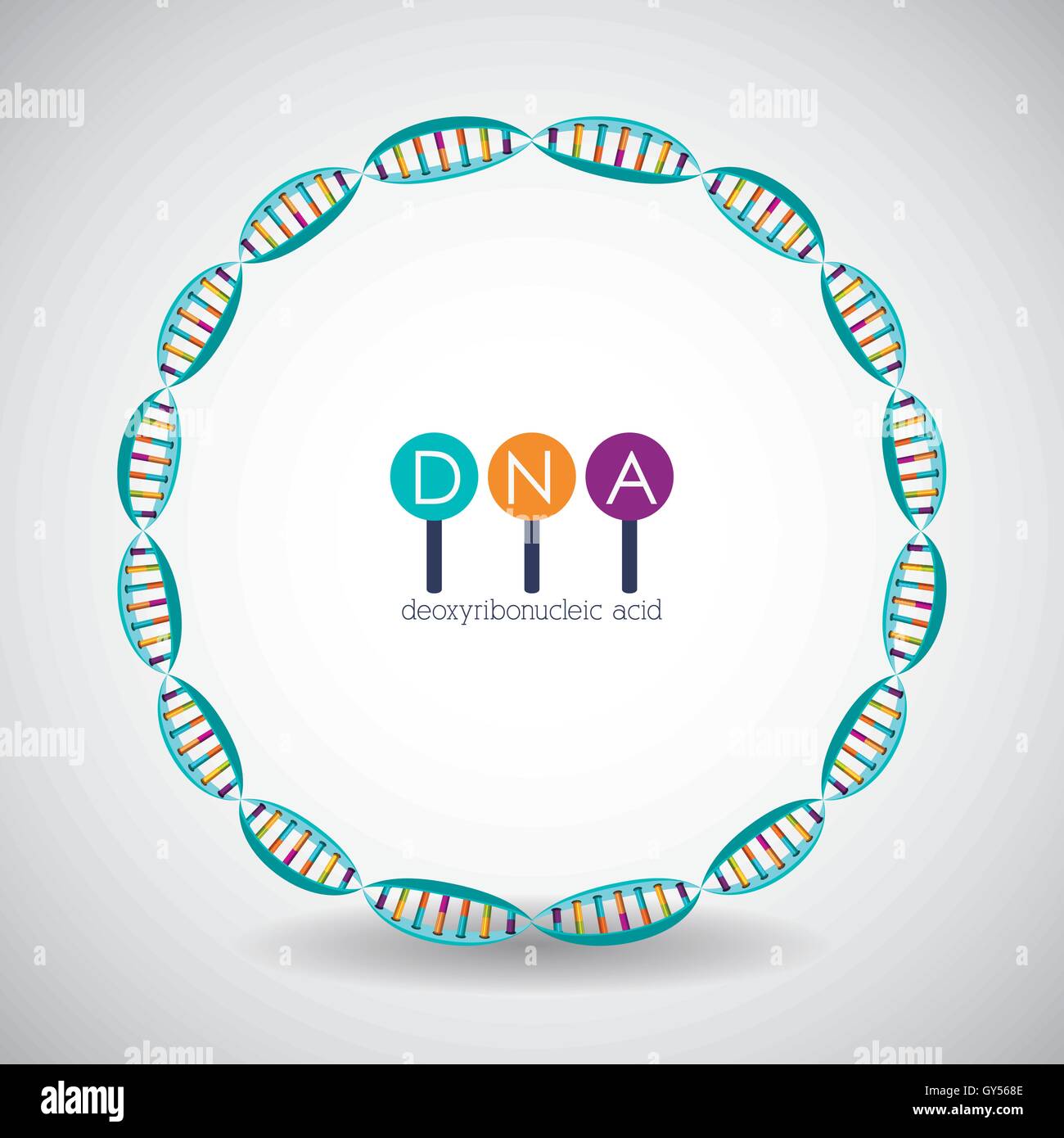 Dna circle structure chromosome design Stock Vector Image & Art - Alamy