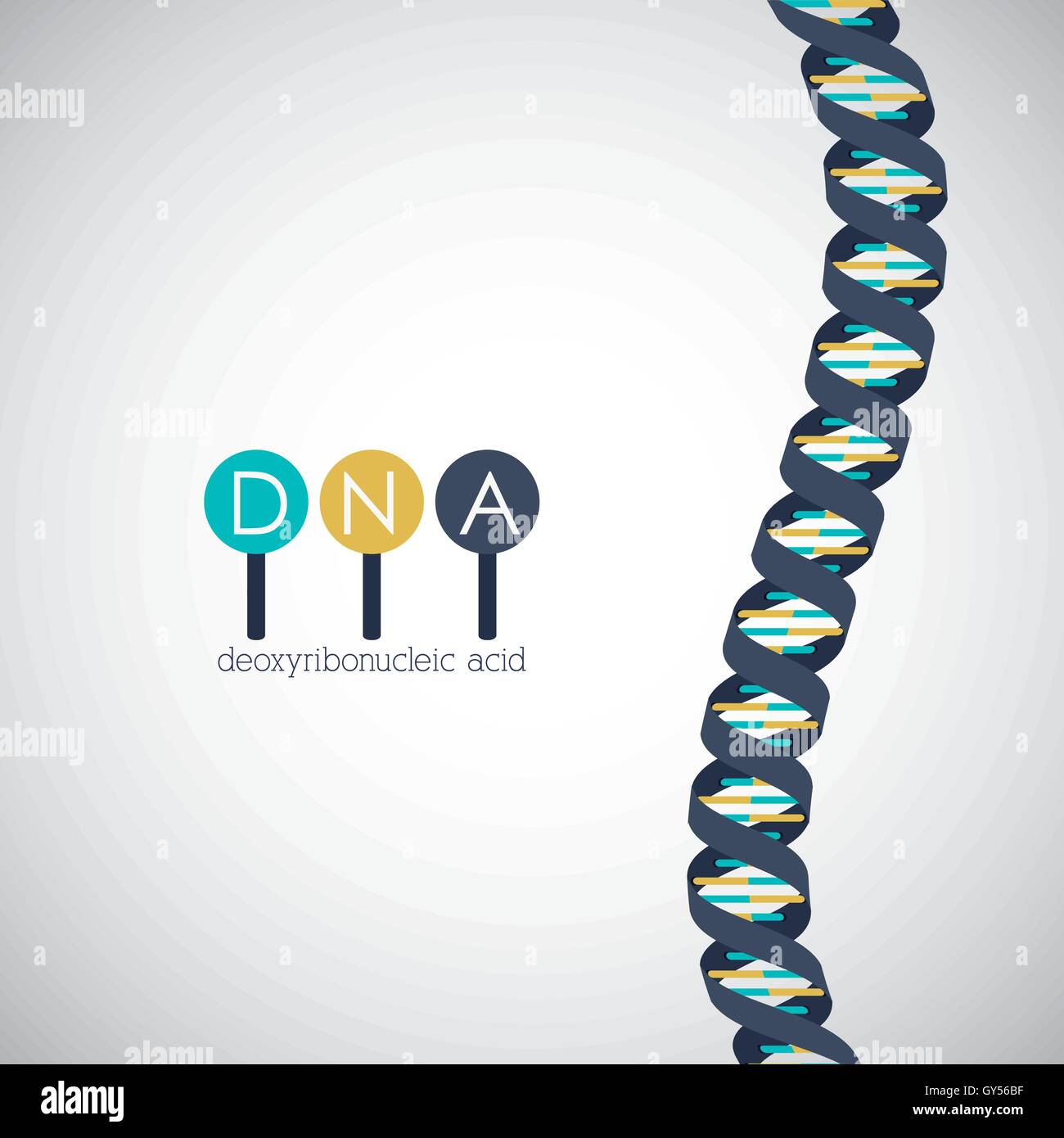 Dna structure chromosome design Stock Vector Image & Art - Alamy