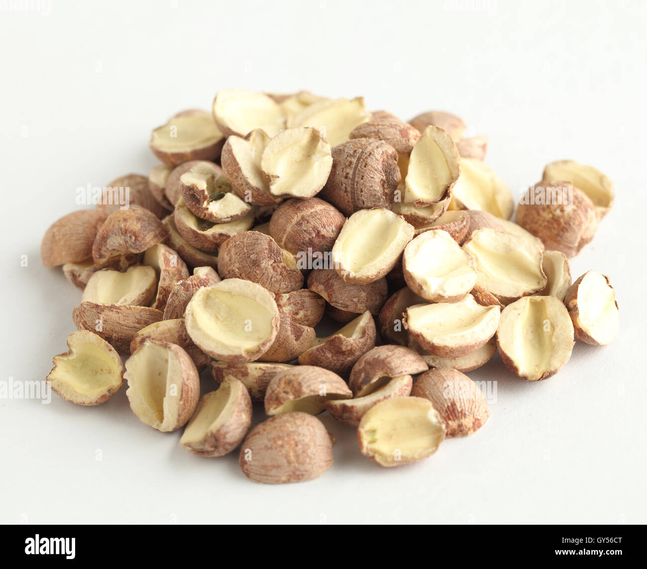 Fox nut hi-res stock photography and images - Alamy