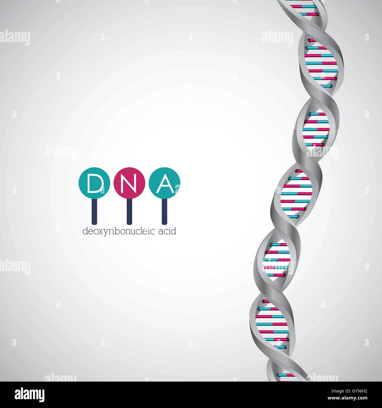 Dna structure chromosome design Stock Vector Image & Art - Alamy