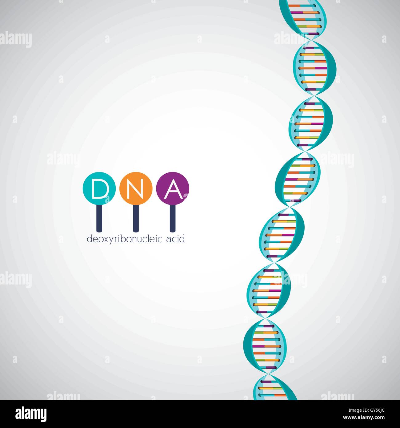 Dna structure chromosome design Stock Vector Image & Art - Alamy