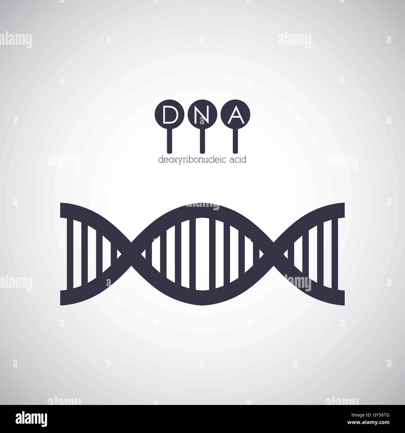 Dna structure chromosome design Stock Vector Image & Art - Alamy