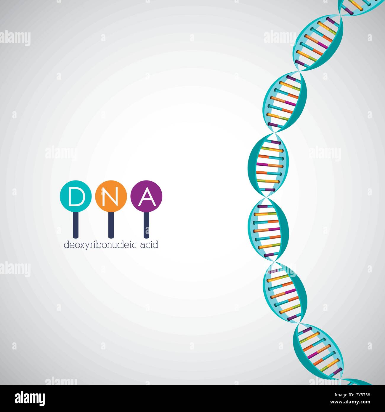 Dna structure chromosome design Stock Vector Image & Art - Alamy