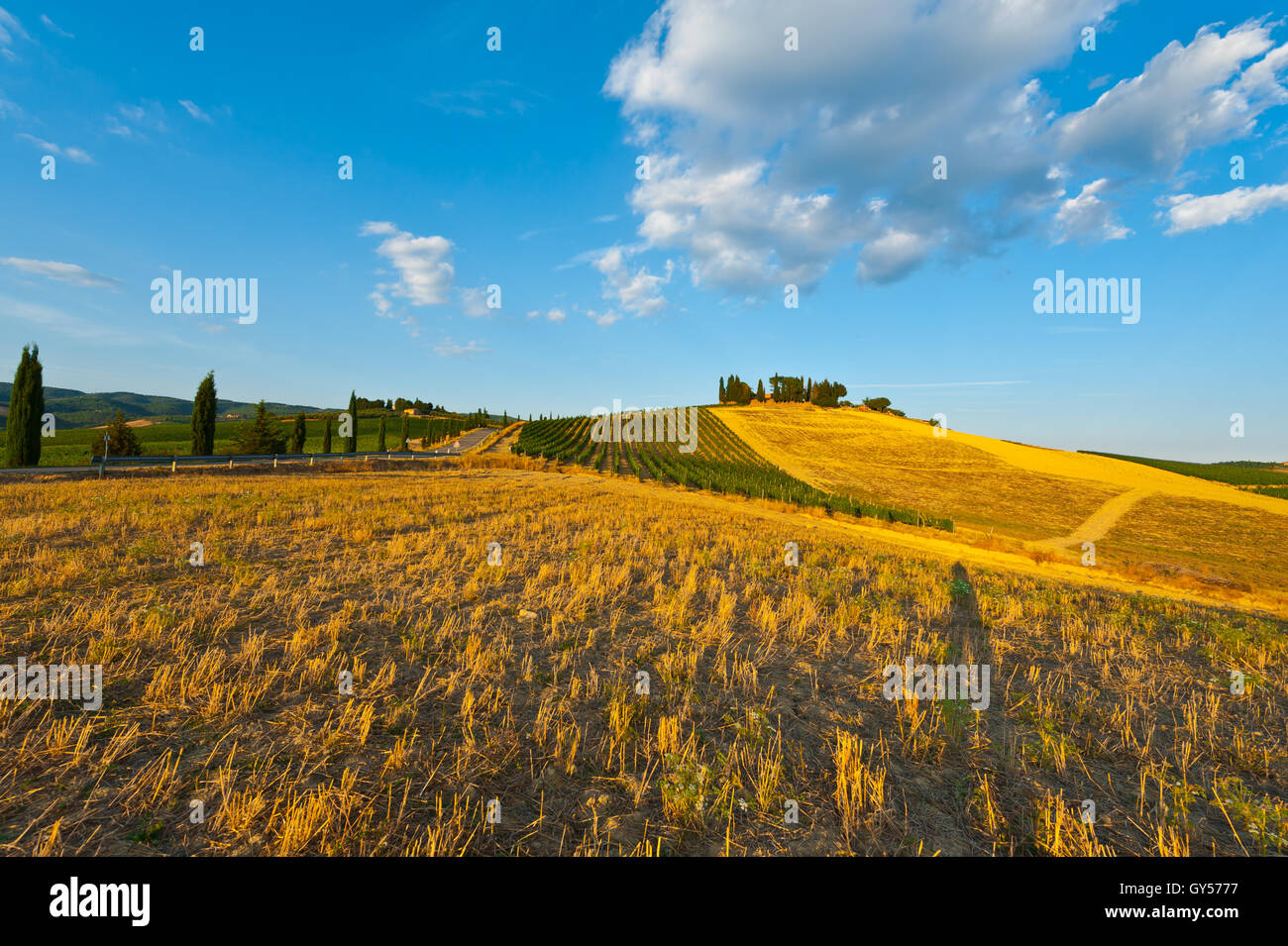 Evening Landscape Stock Photo - Alamy