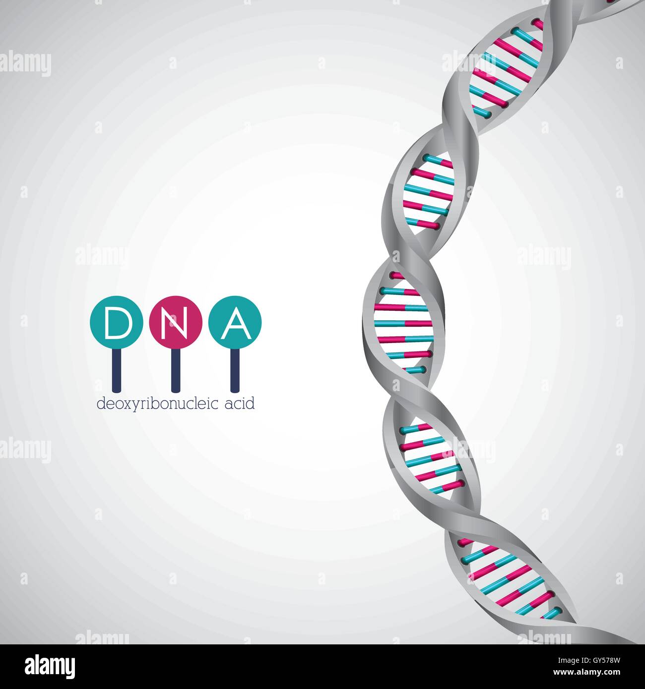 Dna structure chromosome design Stock Vector Image & Art - Alamy
