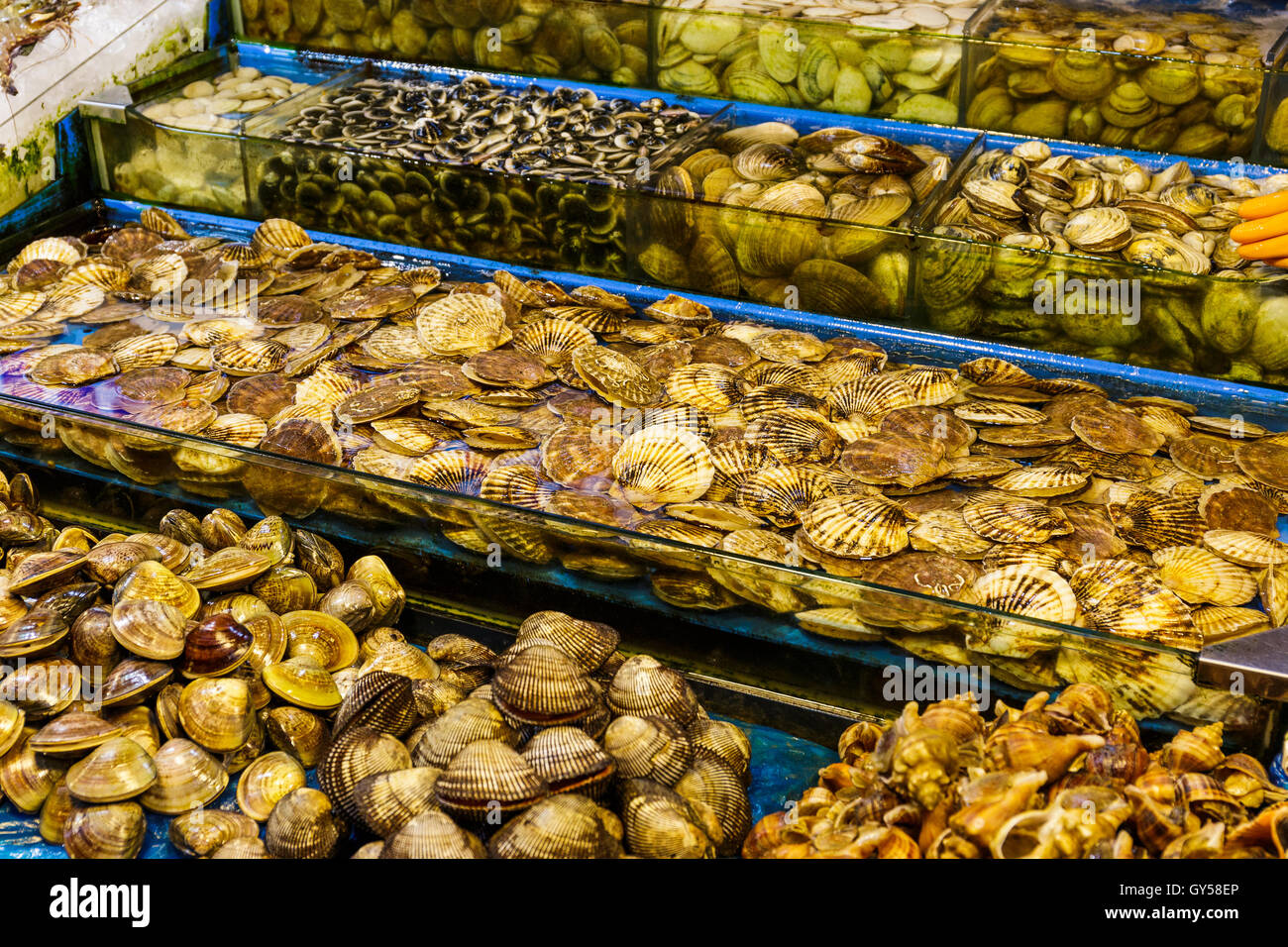 Seafood market fish tank Stock Photo - Alamy