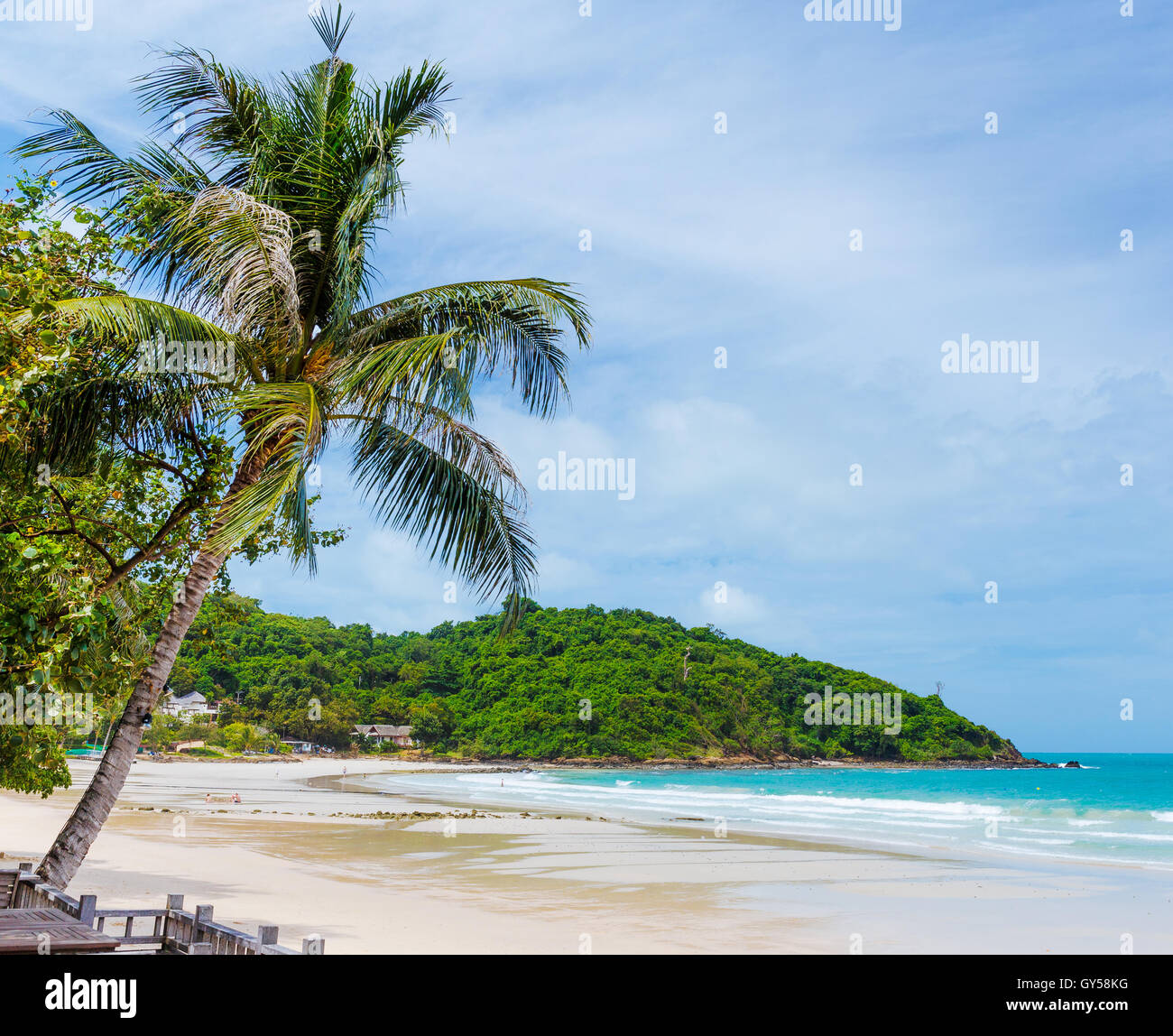 Tropical beach with palm trees Stock Photo - Alamy