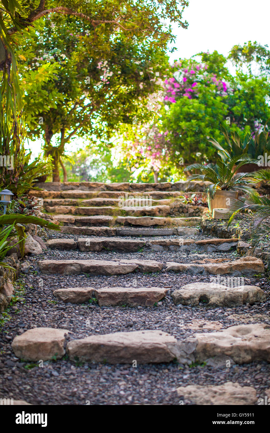 Roof step ladder hi-res stock photography and images - Alamy