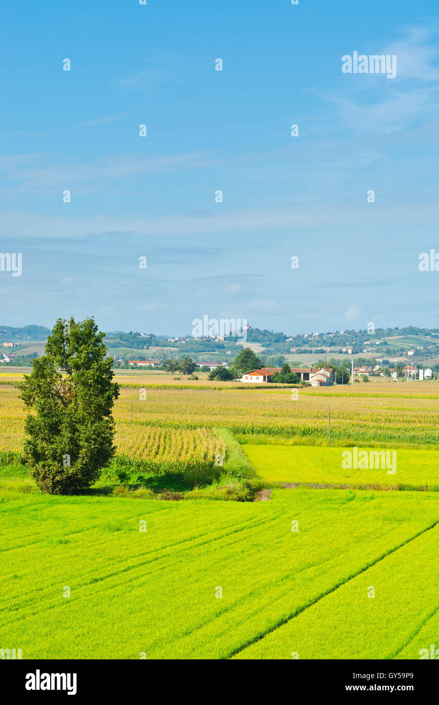 Plantation plain farmhouse hi-res stock photography and images - Alamy